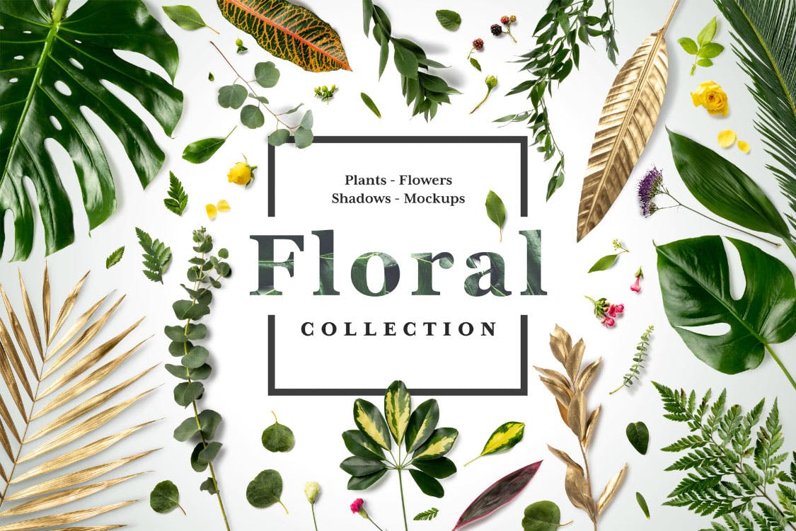 Floral Mockup Free Scene | Premium & Free PSD Mockup Store