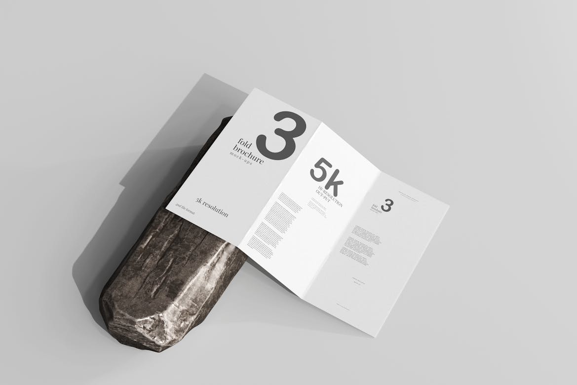 Tri Fold DL Brochure Mockups | Premium & Free PSD Mockup Store