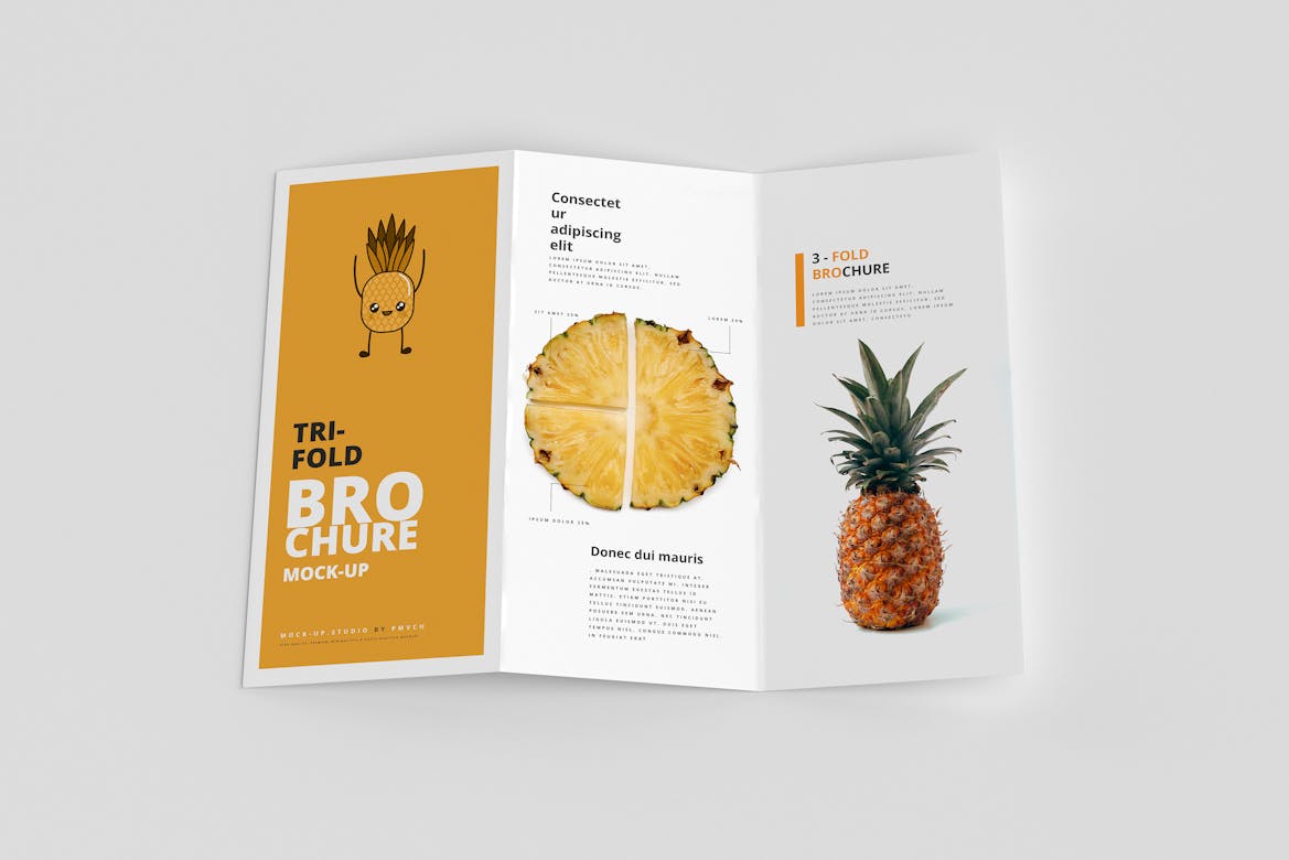 DL Tri-Fold Brochure Mockups | Premium & Free PSD Mockup Store