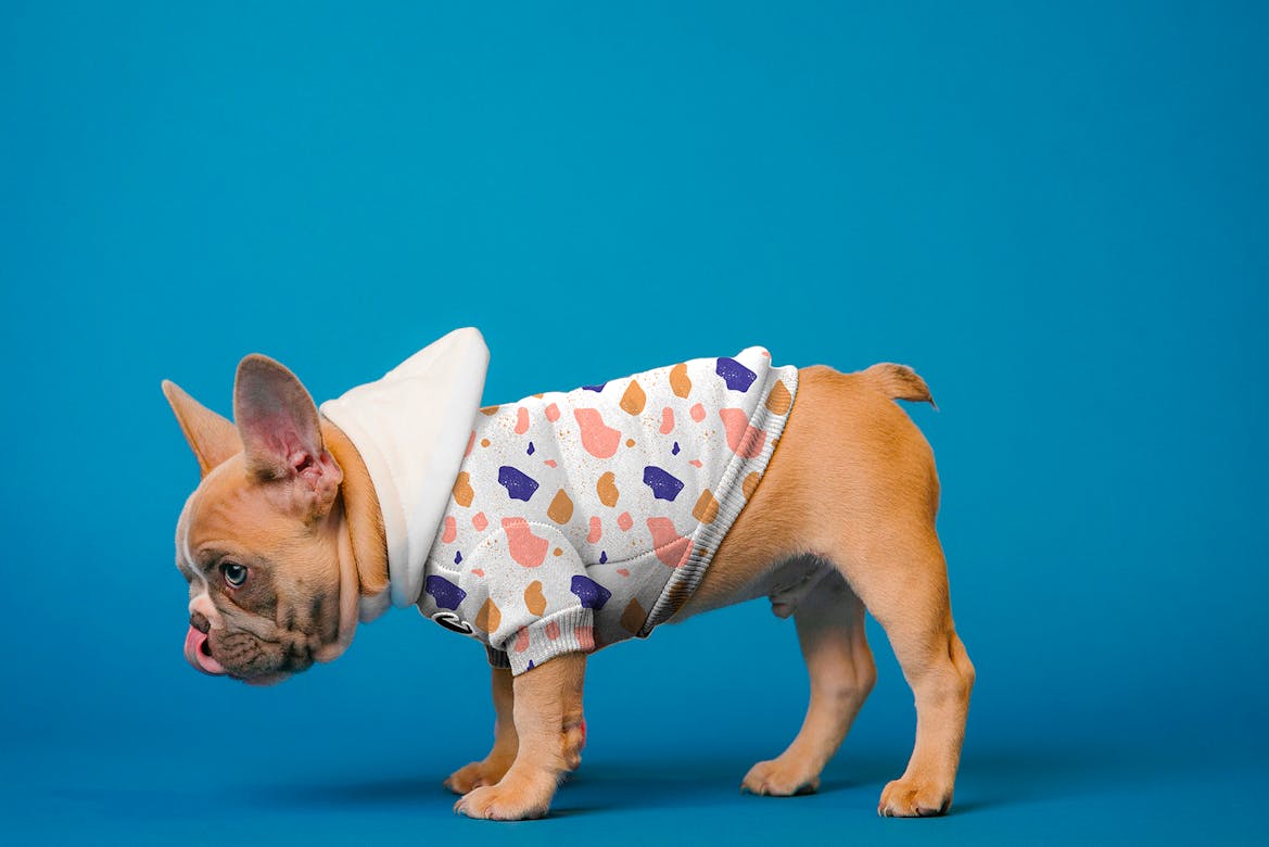 Dog Suits Mockup | Premium & Free PSD Mockup Store