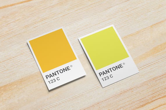 Pantone Card Mock-up | Premium & Free PSD Mockup Store
