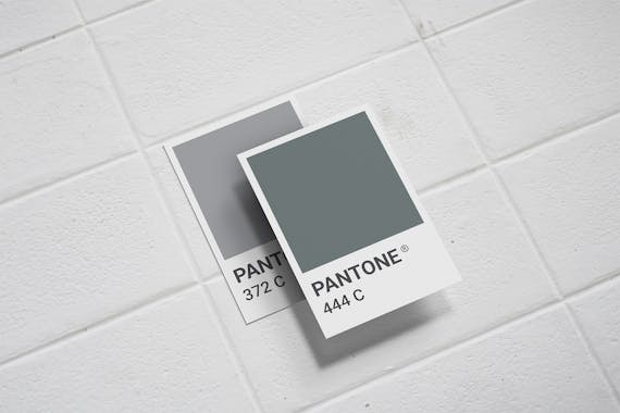 Pantone Card Mock-up | Premium & Free PSD Mockup Store