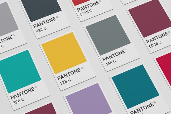 Pantone Card Mock-up | Premium & Free PSD Mockup Store