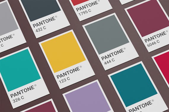 Pantone Card Mock-up | Premium & Free PSD Mockup Store