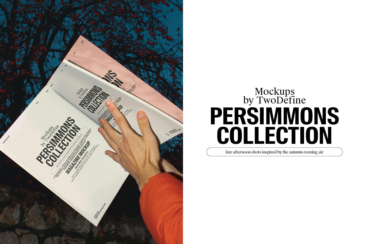 Print Editorial Mockups. Premium And Free PSD Mockup Templates