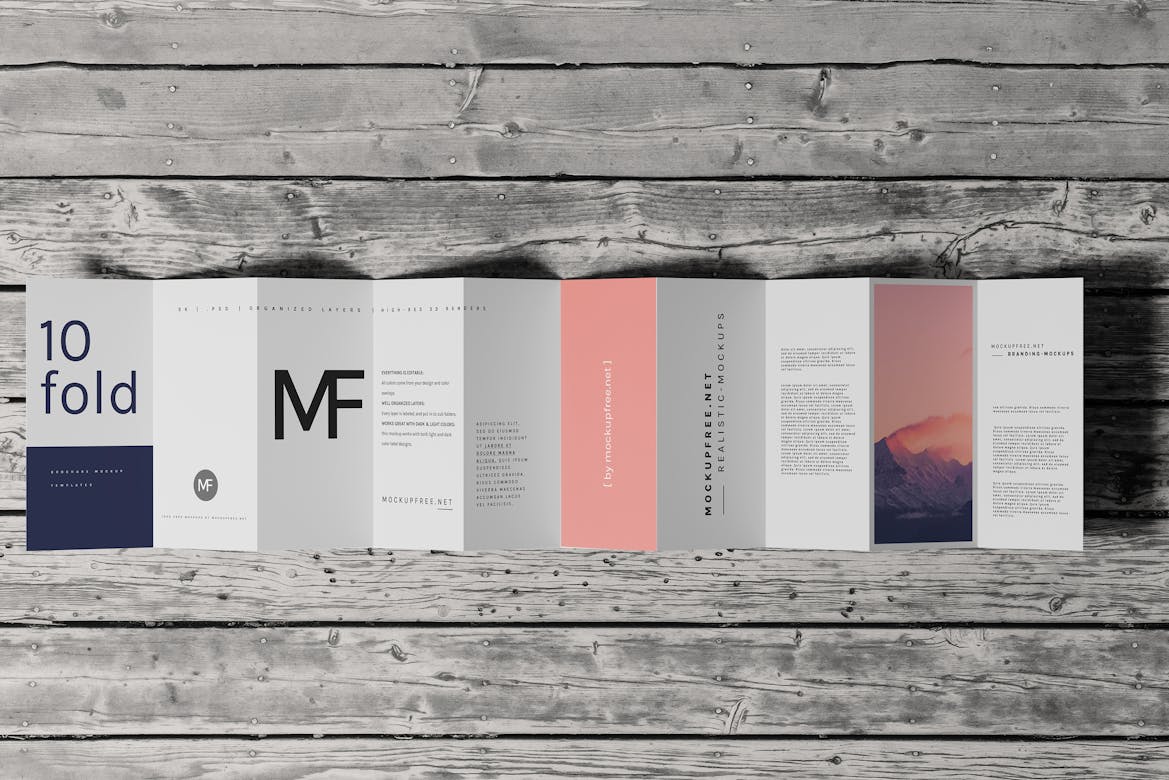 DL Ten-Fold Brochure or Flyer Mockups | Premium & Free PSD Mockup Store