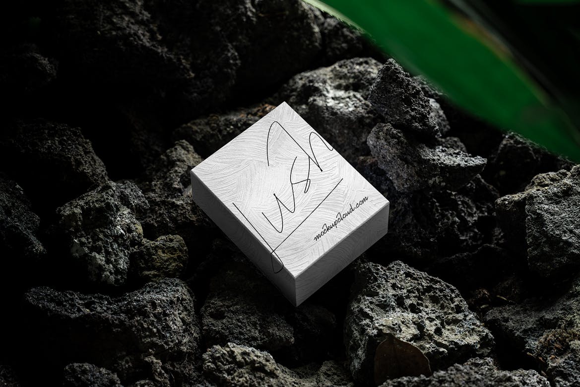 Lush Branding Mockups Kit | Premium & Free PSD Mockup Store