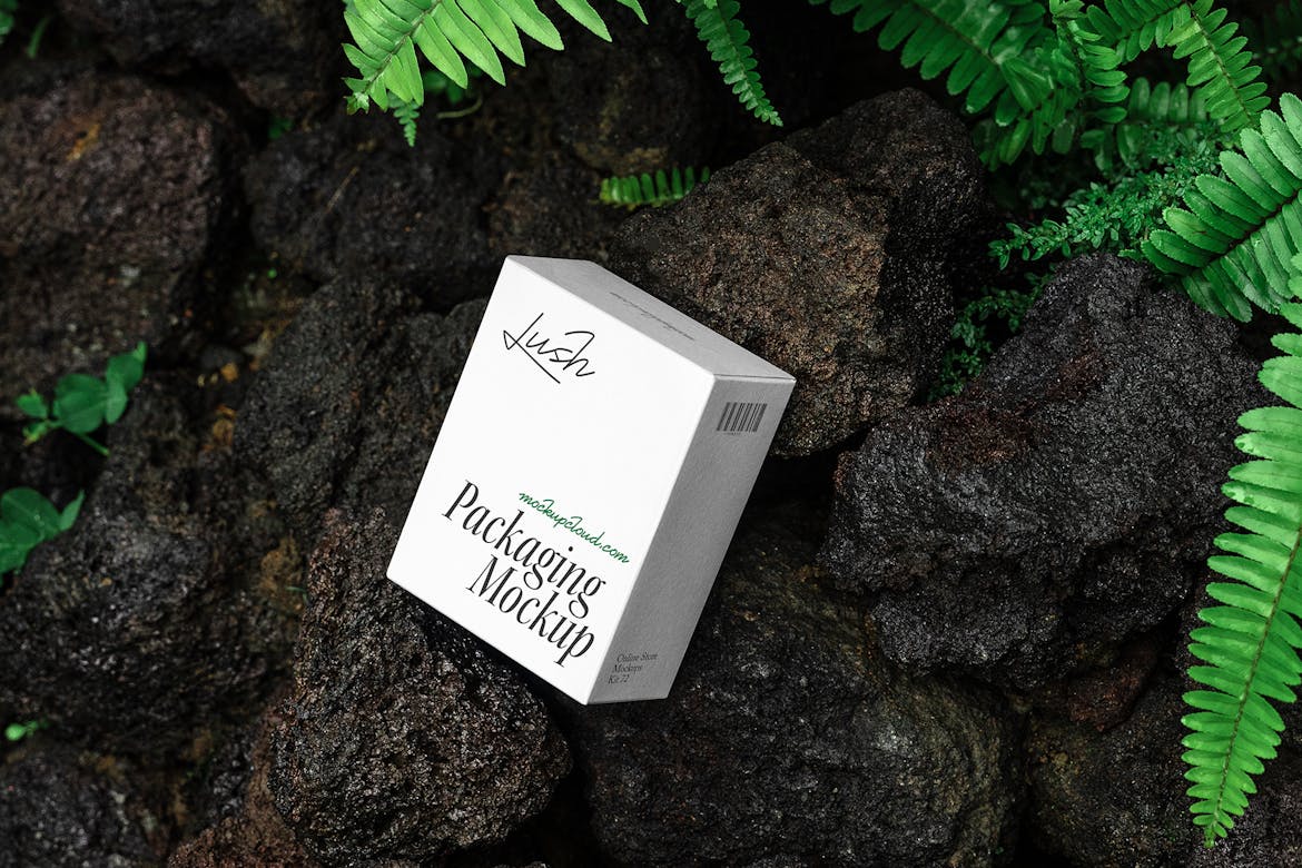Box Packaging Mockup Scene / Lush Series 04 | Premium & Free PSD Mockup ...