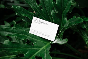 Tag Card Mockup Scene / Lush Series 02 | Premium & Free PSD Mockup Store